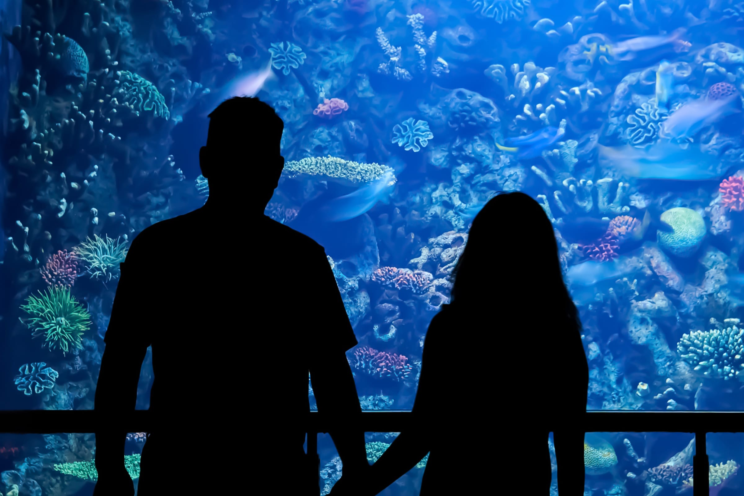 Creative Museum Date Ideas | Bumble